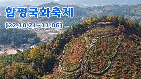함평국화축제 대한민국 국향대전 축제장 드론영상 Youtube