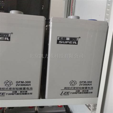 Gfm 200雄霸蓄电池九州gfm 300图片高清图细节图 北京凯力威科技有限公司 维库仪器仪表网