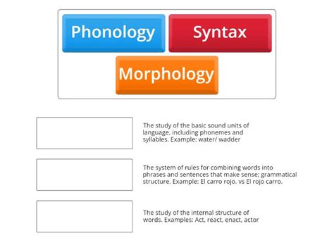 Phonology Morphology And Syntax Match Up