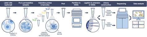 Flex Scrnaseq