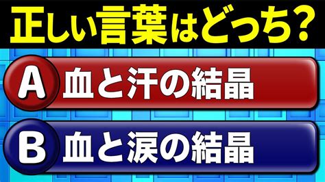 【間違えやすい日本語】血と汗の結晶？血と涙の結晶？意外と気づかない間違えやすい言葉クイズ！全10問 Youtube