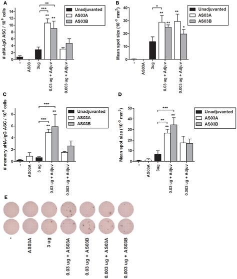 frontiers as03 adjuvanted very low dose influenza vaccines induce