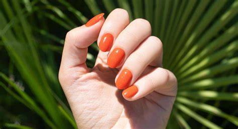 Cinco Diseños De Manicuras Para Este Verano Fáciles De Recrear Desde