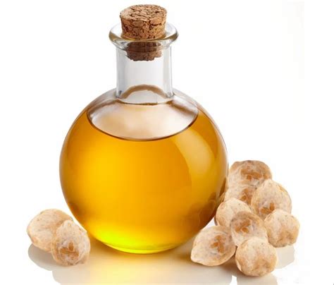 Kukui Nut Oil Packaging Size 1 Litre At ₹ 1225 Kg In New Delhi Id