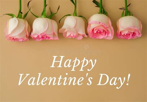 Delicate Pink Roses On Beige Background With Happy Valentines Day Text