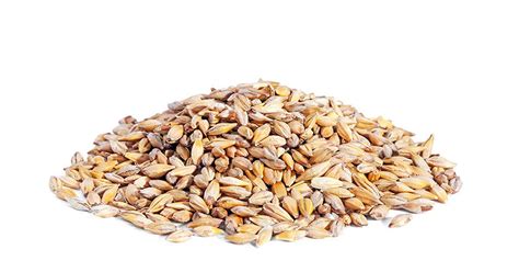 316 Easy Barley Recipes