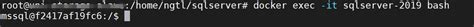 Docker Sqlserver Qwq