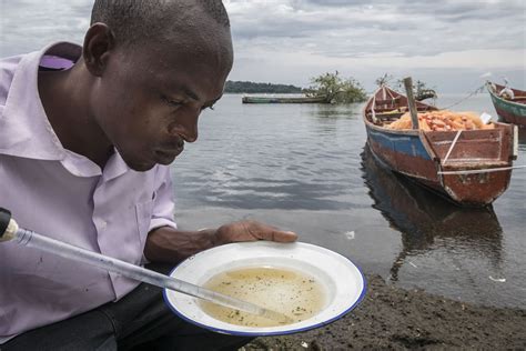 Target Malaria Uganda Press Kit Target Malaria