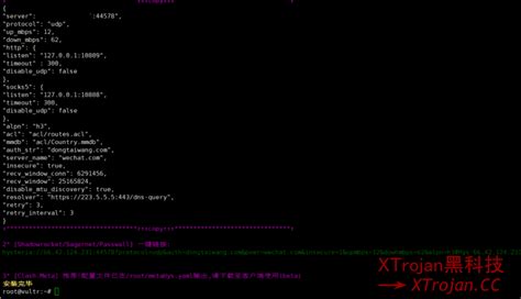 Hysteria Vps Xtrojan