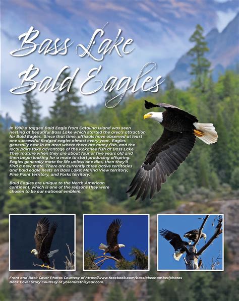Sierra Tel Announces 2024 Telephone Directory Highlights The Bald Eagle