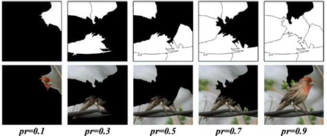 illustrations for superpixel based region random removal augmentation