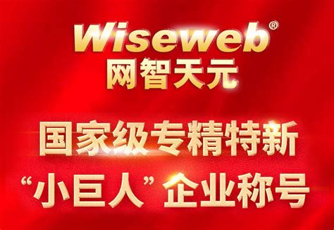 网智天元