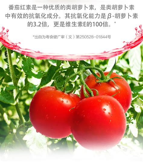 番茄红素的生理功能与应用 知乎