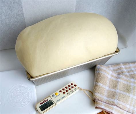 Over Proofed Dough King Arthur Flour