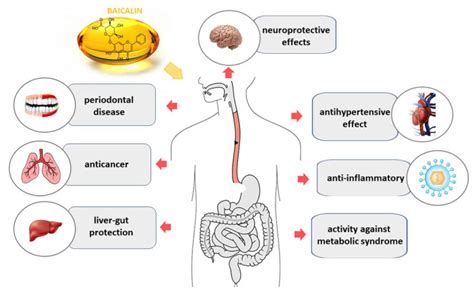 BaicalinCurrent Trends In Detection Methods And Health Promoting Properties PMC