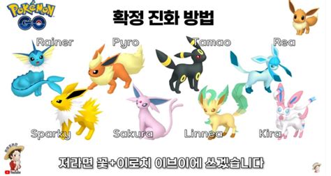 포켓몬고 이브이 진화 배틀 타이밍 총정리