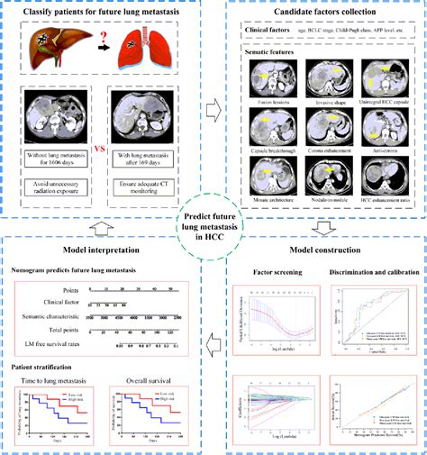 Figure 3 From A Non Invasive Nomogram Predicting Future Lung Metastasis