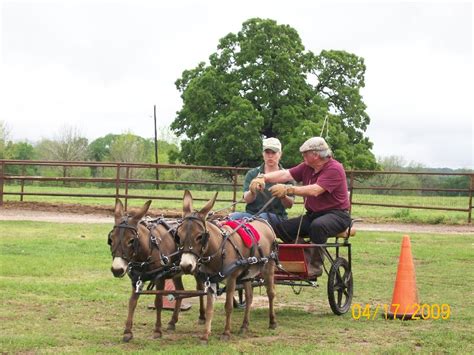 Lazy 2 Ranch Photo Gallery
