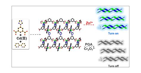 Cdii Based Coordination Polymer As A Multiresponsive Fluorescent