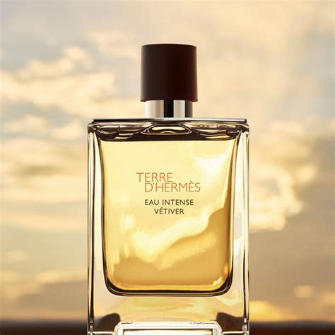 Hermes Terre d’Hermes Туалетная вода 100 мл (1572429189)