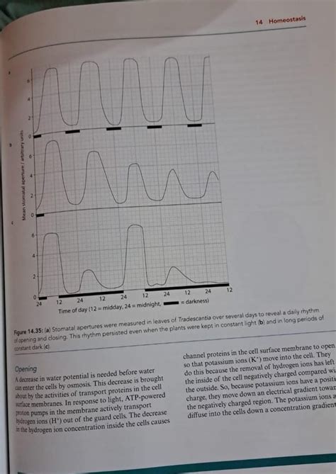 how to explain the graph r alevel