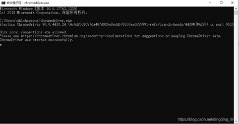 Selenium之安装浏览器驱动selenium Ie驱动 Csdn博客
