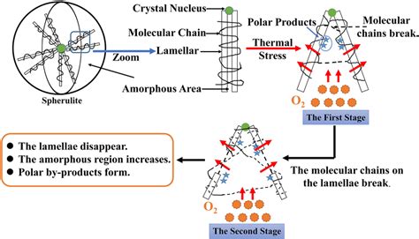 Schematic Diagram Of Aggregate Structure Variation Of Cross‐linked