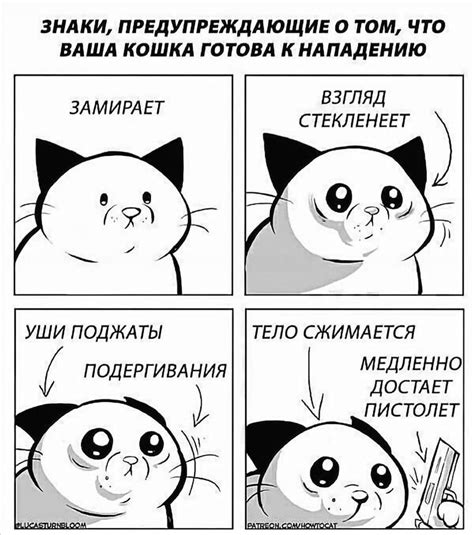 ﻿ЗНАКИ ПРЕДУПРЕЖДАЮЩИЕ о том что ВАША КОШКА ГОТОВА К НАПАДЕНИЮ ТЕЛО СЖИМАЕТСЯ МЕДЛЕННО ДОСТАЕТ
