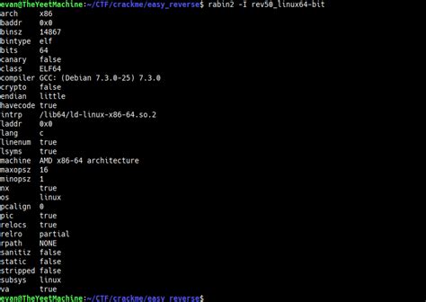Basic Static Binary Analysis With Radare2