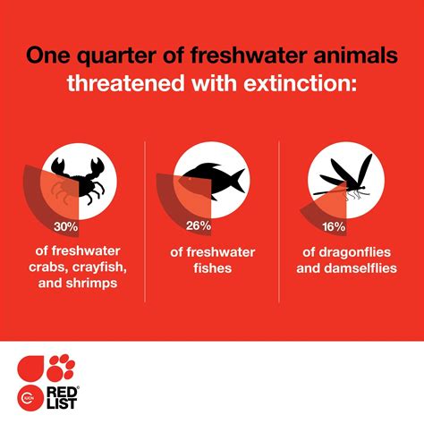 Iucn Finds One Quarter Of Freshwater Species Are At Risk Of Extinction