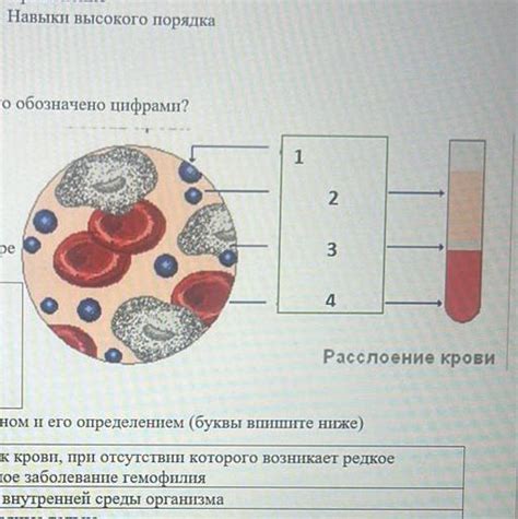 ЗАДАНИЯ 1 3 Рассмотрите рисунок Что обозначено цифрами 1 2 3 4 б дайте полную