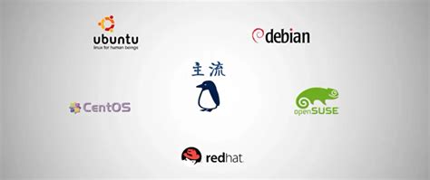 为什么很多人的服务器用linux操作系统？ 不念博客