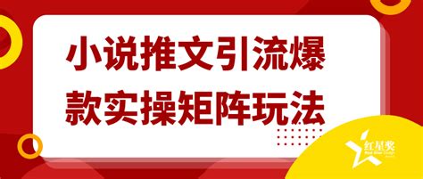 小说推文引流爆款实操矩阵玩法 Vpsche小车博客