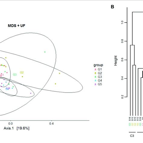 Multi Dimensional Scaling Mds And Hierarchical Clustering On Bovine