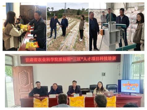 党建引领强保障、支部共建促发展、科技服务增实效，确保“三抓三促”行动走深走实 “三抓三促”行动进行时