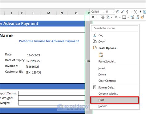How To Create Proforma Invoice For Advance Payment In Excel