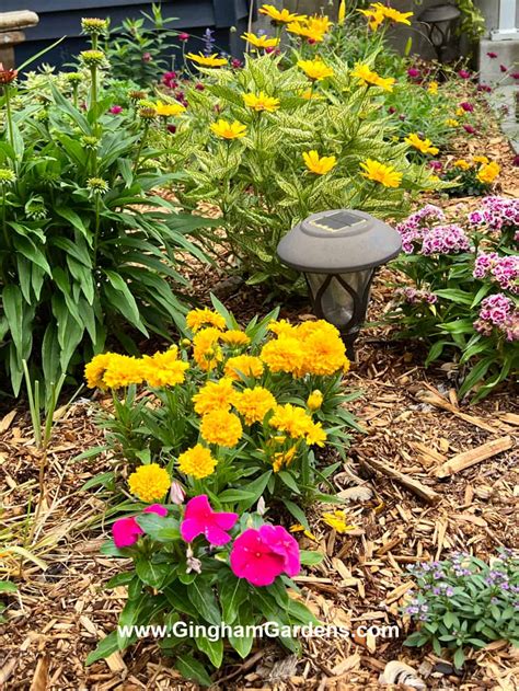 Using Mulch In Your Flower Garden Simple Tips And Tricks Gingham Gardens