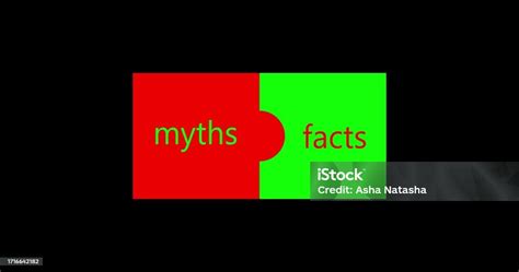 Myths Vs Facts Concept Of Thorough Factchecking Or Easy Compare