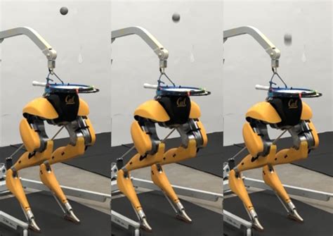 강화학습으로 걷는 법 터득한 로봇 Mit 테크놀로지 리뷰 Mit Technology Review Korea