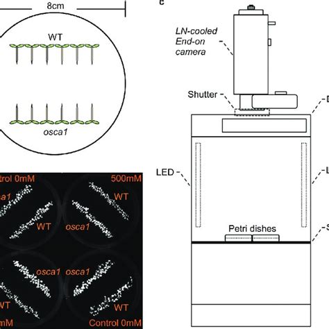 The Diagram Of Sample Arrangement And Improved Imaging System