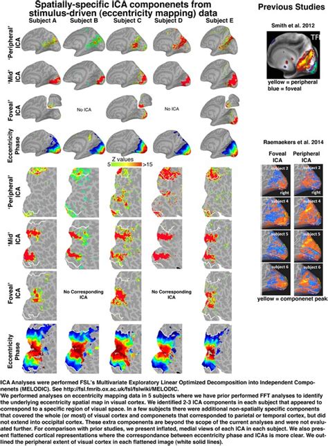 Figures And Data In Widespread Correlation Patterns Of Fmri Signal Across Visual Cortex Reflect