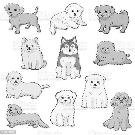귀여운 인기 혼합 개 손으로 그린 선 그리기 벡터 일러스트 레이 션 세트 0명에 대한 스톡 벡터 아트 및 기타 이미지 0명 강아지 유치원 강아지 개 Istock