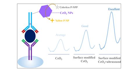Dipeptide Surface Modification And Ultrasound Boosted Phosphatase Like