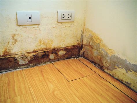 Stopping Water Penetration In Walls Garratt S Damp