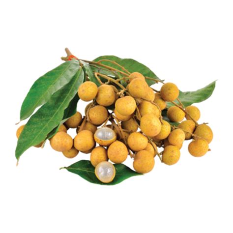 Longan Siamfresh Enterprise