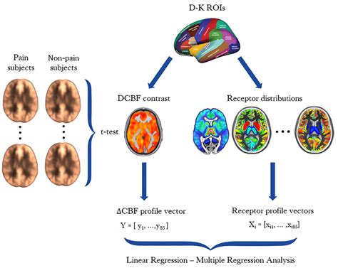 Statistical framework for ΔCBF calculation and correlation with PET