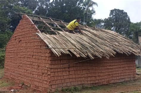 Tcp Pba Ci Activity Report November 2023 Tcp Terminal De Contêineres De Paranaguá