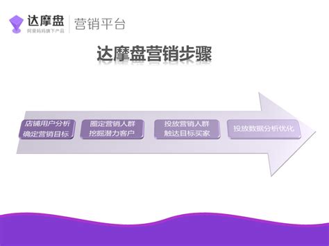 阿里妈妈 赢在实效 达摩盘教你备战旺季