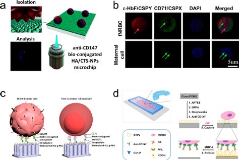 nanomaterial integrated microfluidic technologies for fnrbc detection