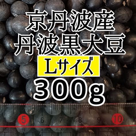 丹波黒大豆 300g Lサイズ 京丹波産 令和4年産 新豆 丹波の黒豆｜yahooフリマ（旧paypayフリマ）